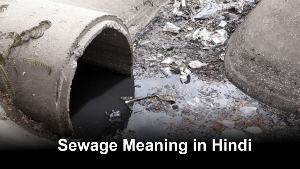 Sewage Meaning in Hindi: सेवेज का अर्थ - 3D Aqua