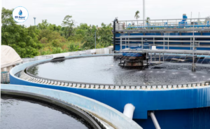What is Mixed Liquor (MLSS) in a Sewage Treatment Plant? - 3D Aqua